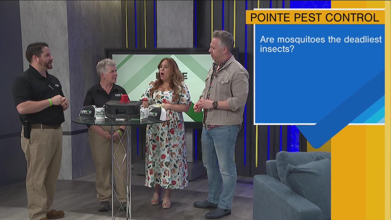 Pointe Pest Control: Test Your Mosquito Knowledge – 6/9/25 – Fox 59