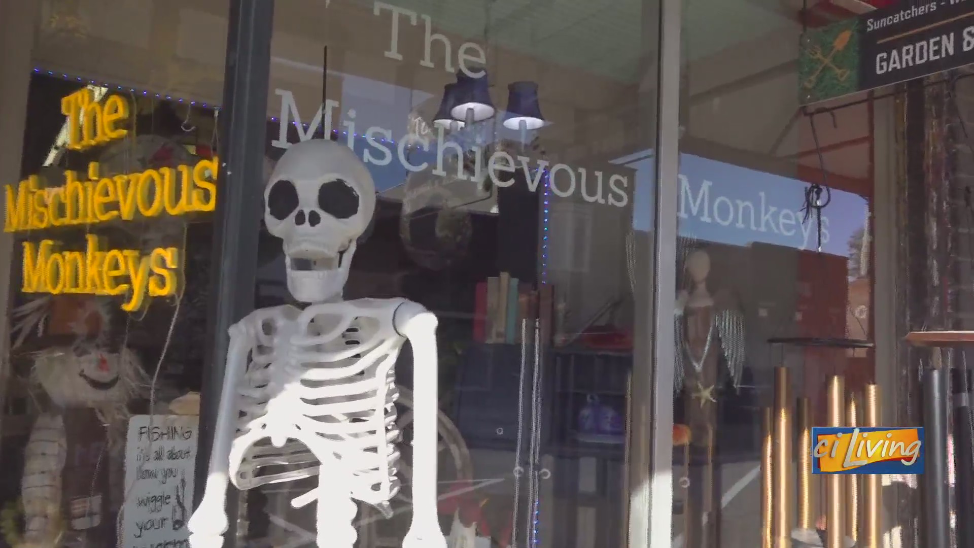 Discover The Mischievous Monkeys — A Hidden Gem in Farmer City ...