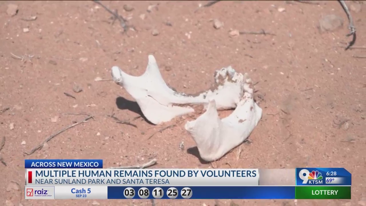 Volunteers want sheriff to pick up human remains found in desert ...