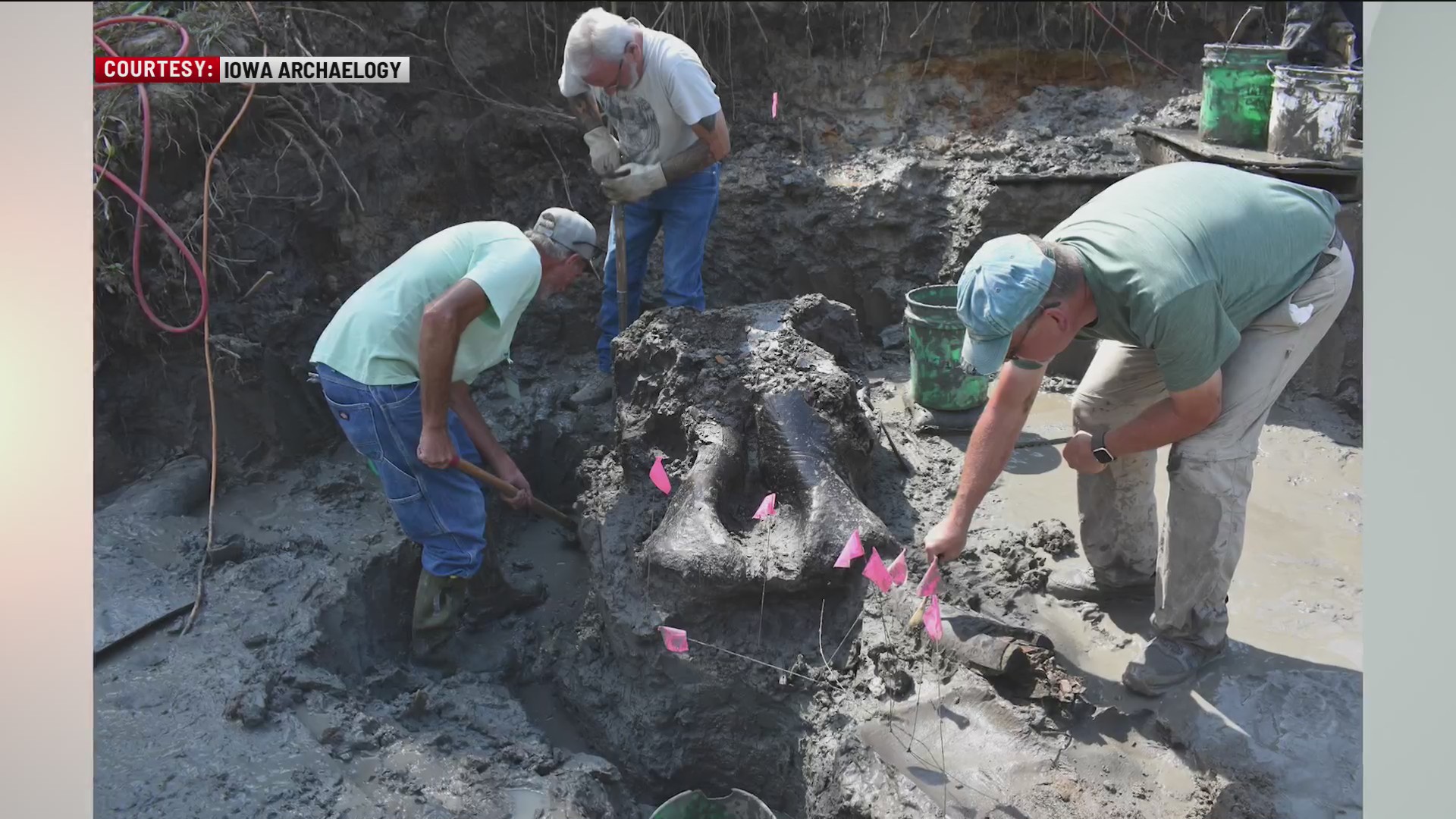 Well-preserved mastodon excavated from southern Iowa creek bank – who13.com