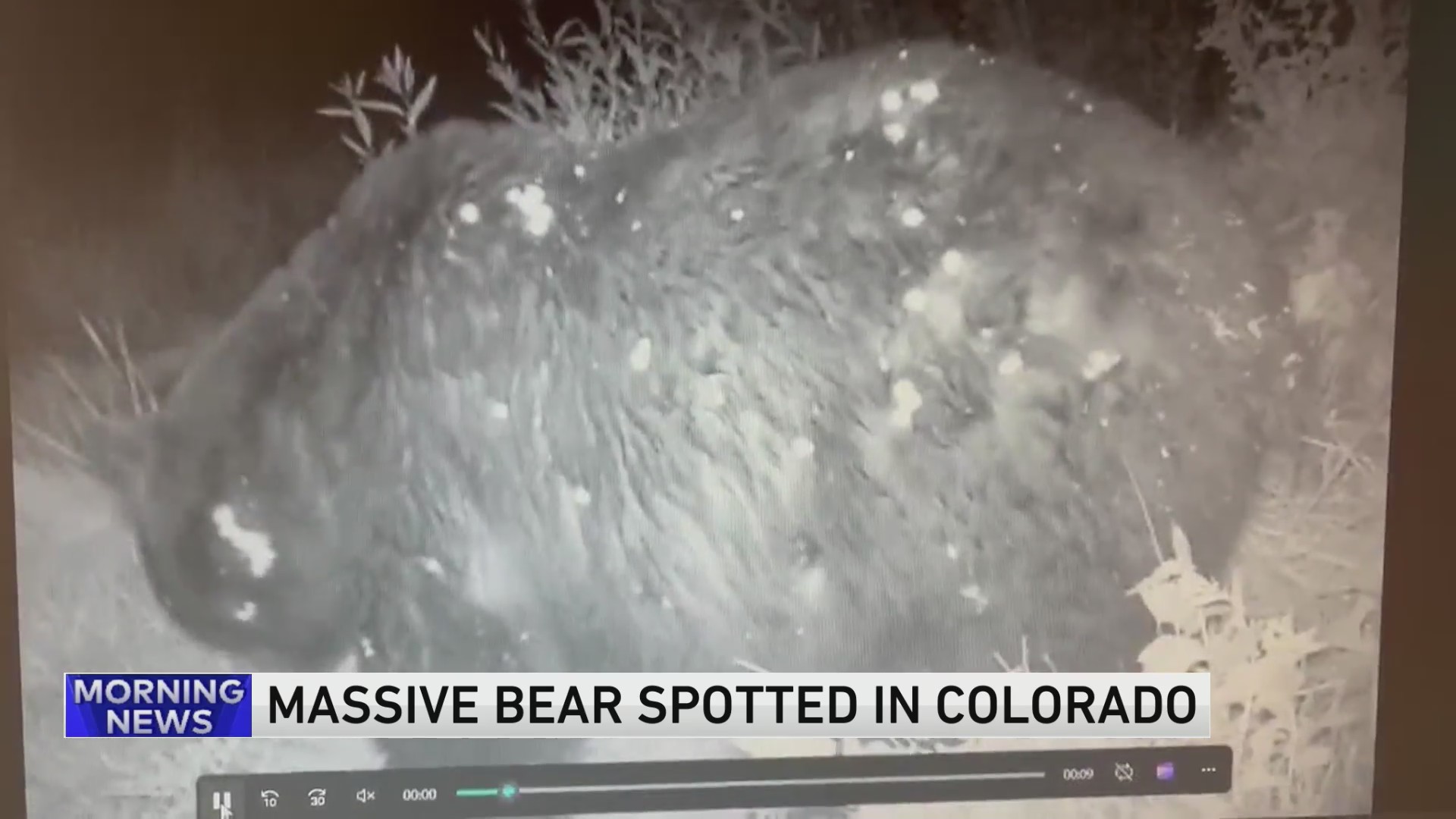 Dan Ponce’s next album will be titled ‘Thicc Boi,’ thanks to this very ...