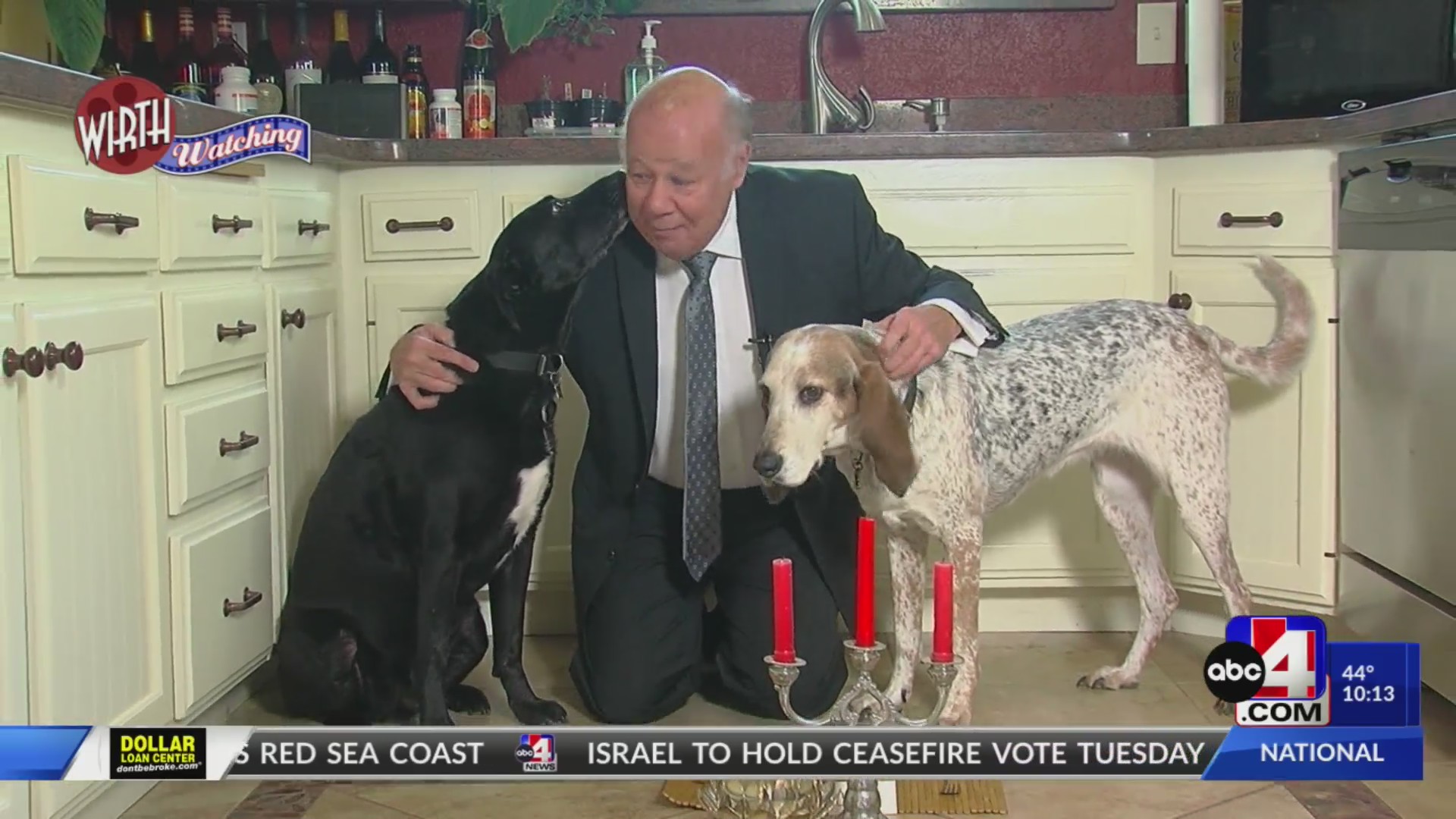 Thanksgiving table manners for humans (and for dogs) – ABC4 Utah