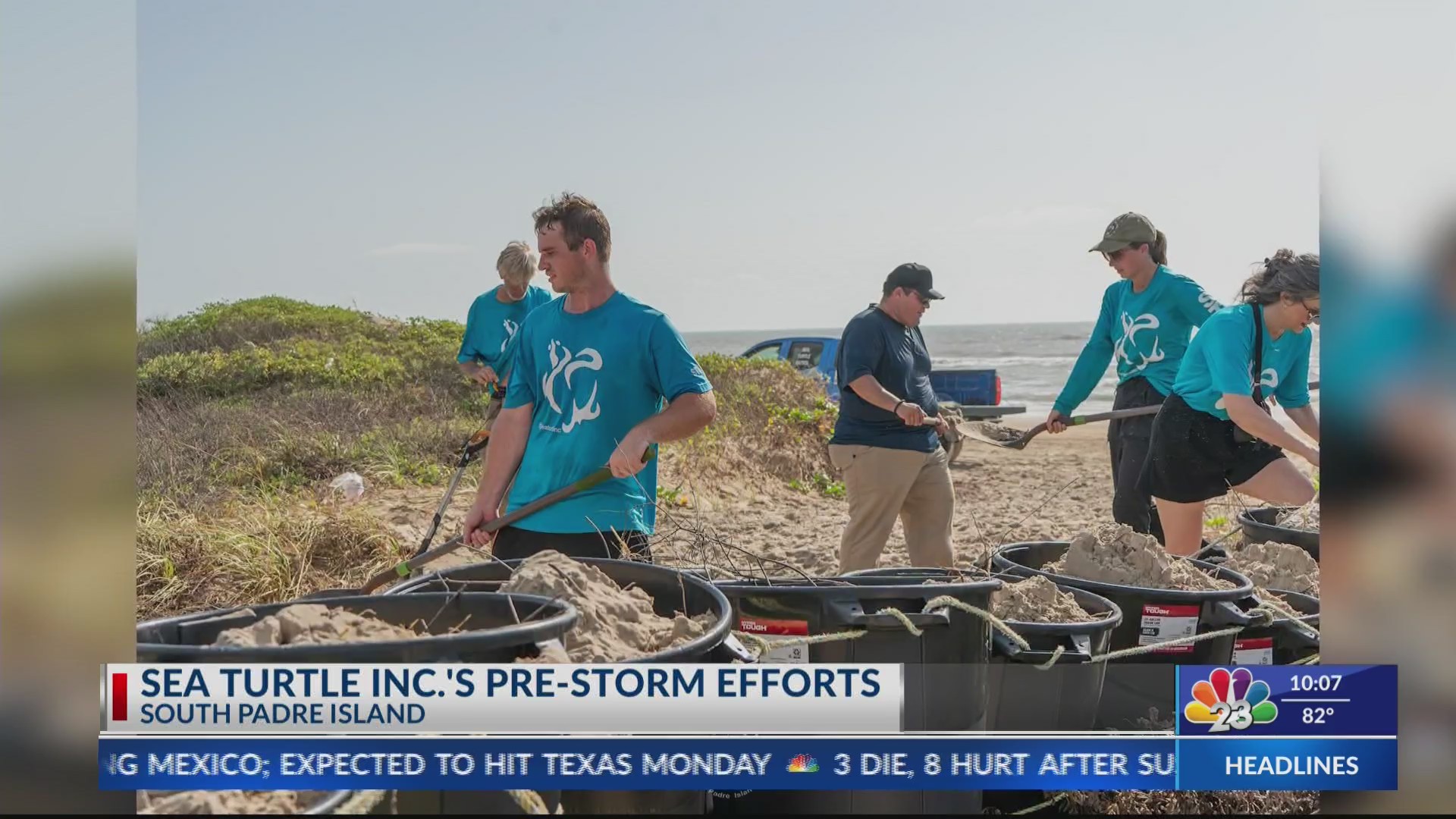 Sea Turtle Inc. protect over 9k turtle eggs ahead of potential ...