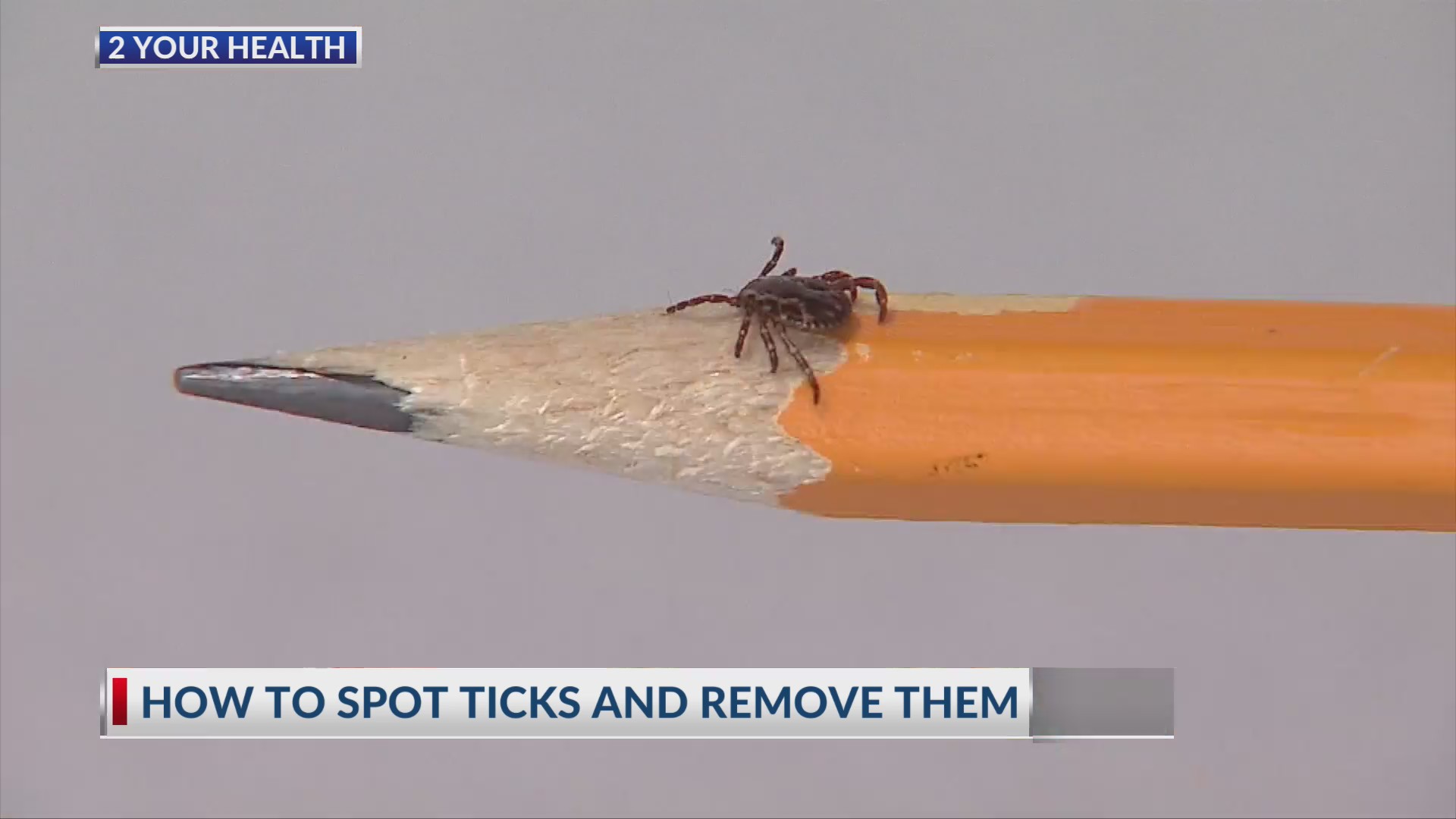 2 Your Health: How to spot ticks and remove them – WCBD News 2