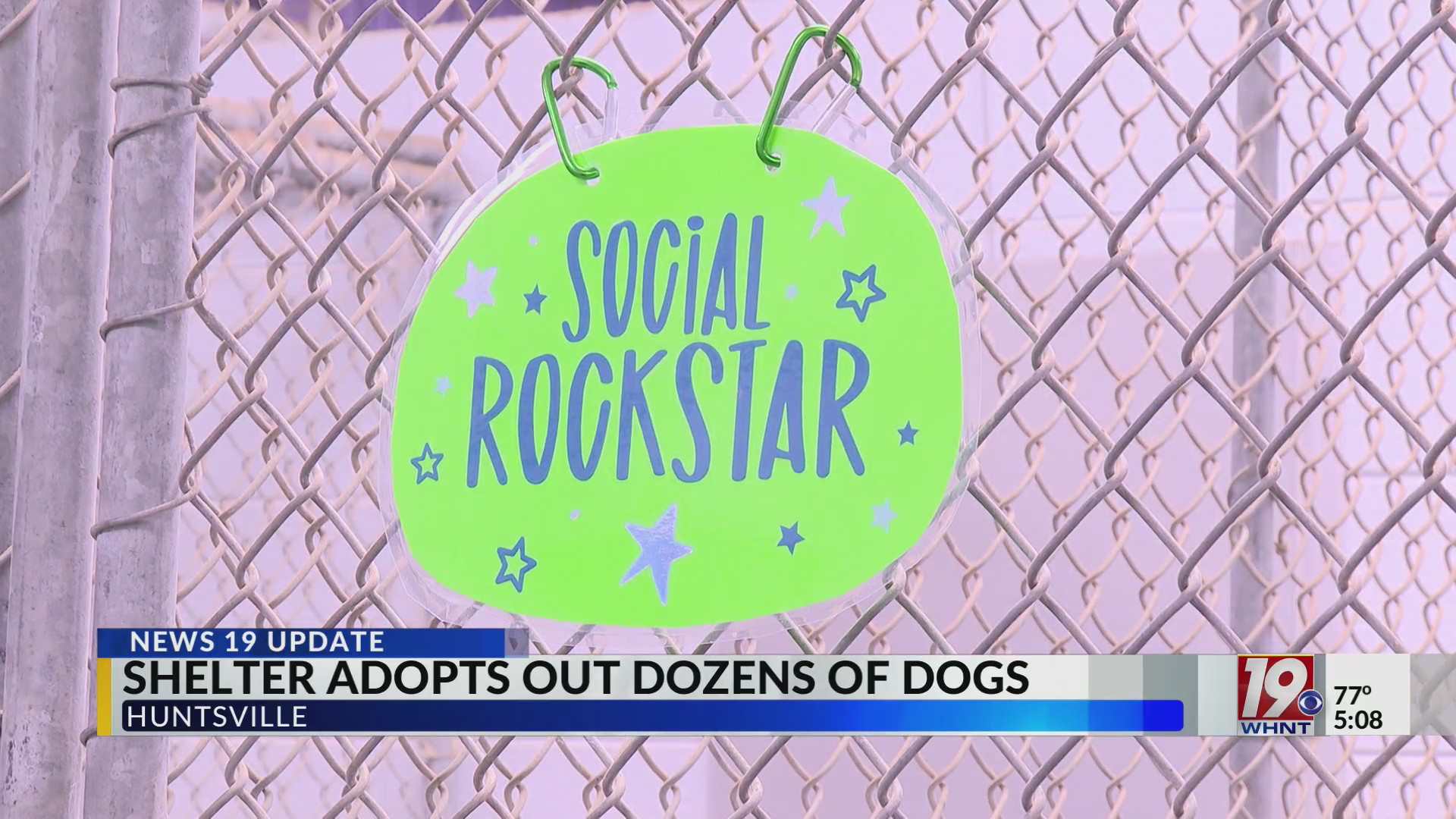 Shelter Adopts Out Dozens Of Dogs | October 28, 2024 | News 19 at 5:00 ...