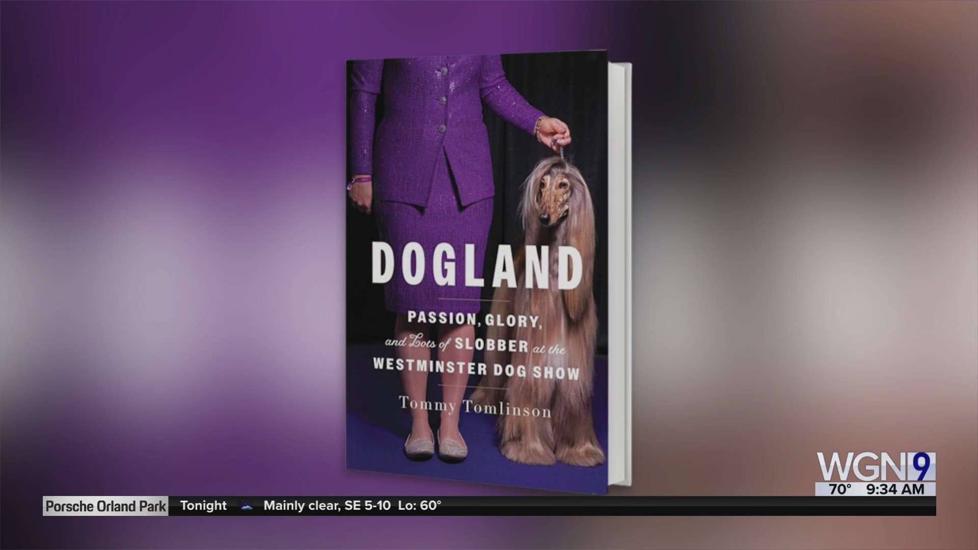 “Dogland: Passion, Glory, and Lots of Slobber at the Westminster Dog ...