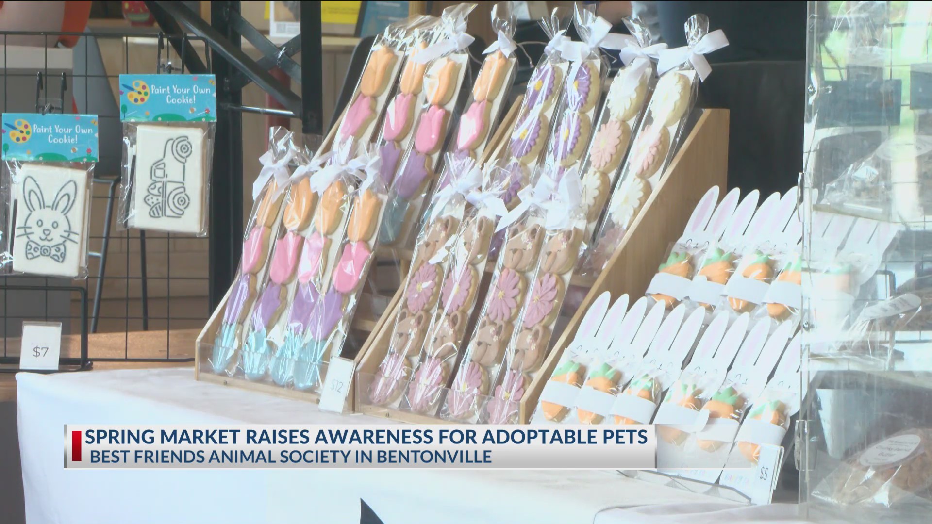 Spring market raises awareness for adoptable pets – KNWA FOX24