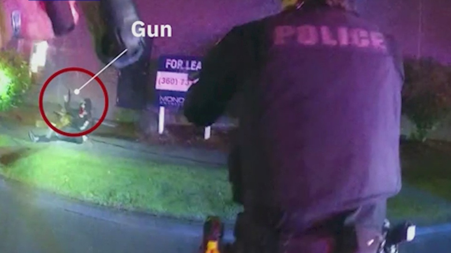 Vancouver K9’s tail amputated after dog was likely struck by officer’s ...