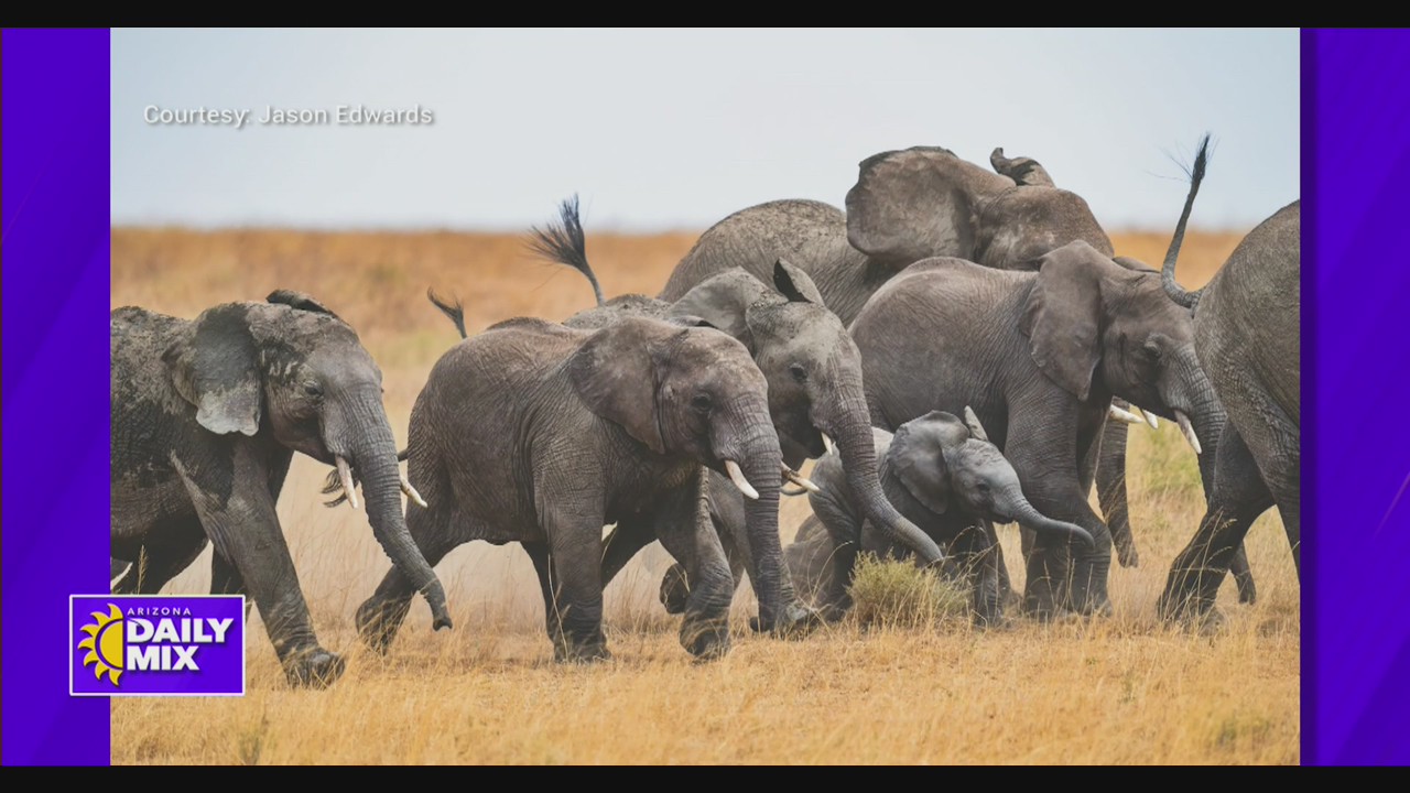 National Geographic Photographer shares images captured during his ...