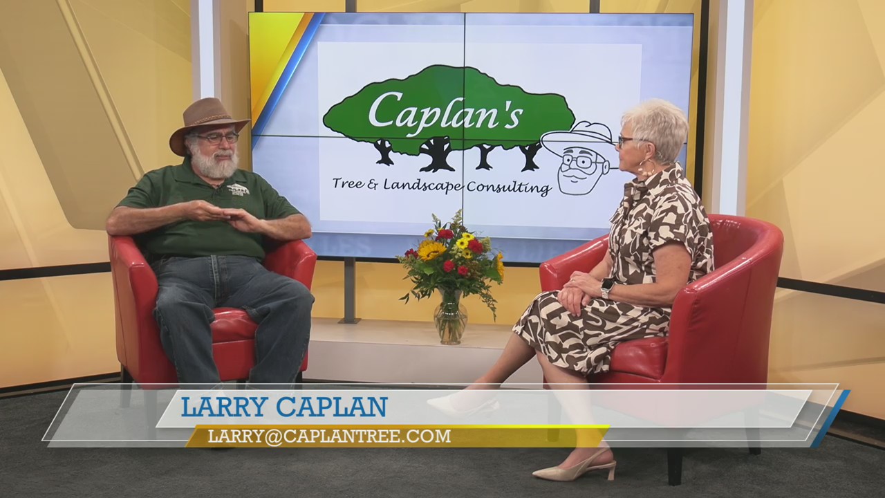 Larry Caplan touches: Tristate chemical fire (9/12/2025) – Eyewitness ...