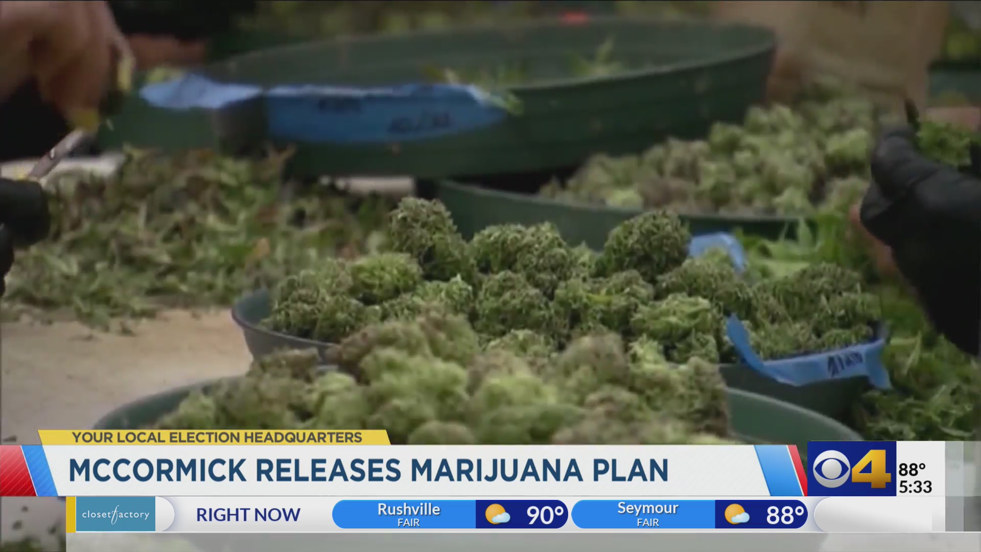 McCormick/Goodin campaign introduces ‘common sense’ cannabis plan – Fox 59