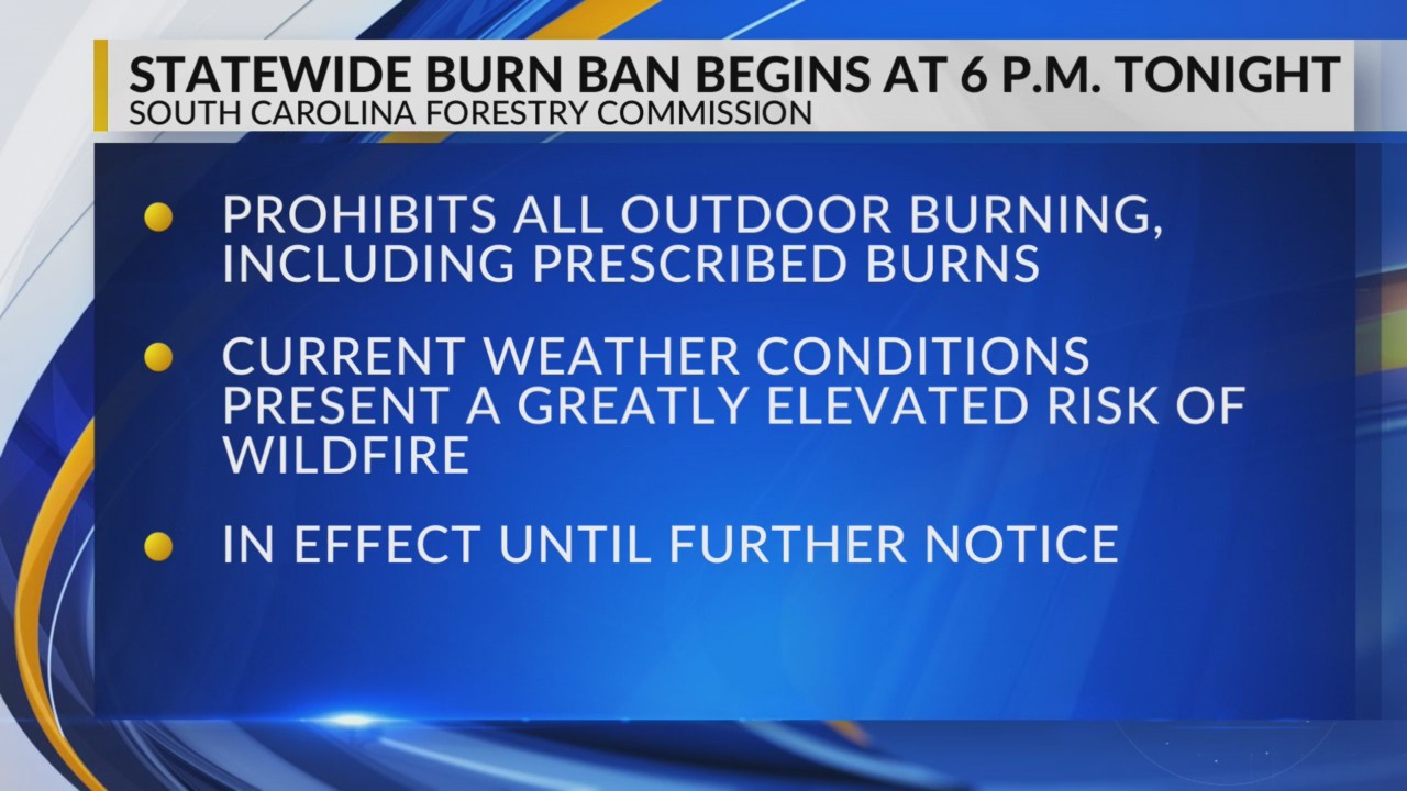 Statewide burn ban issued for South Carolina amid elevated risk of ...