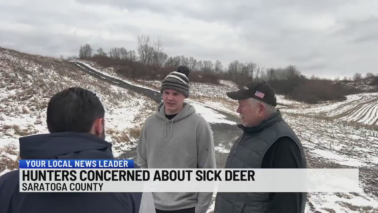 Hunters in Stillwater concerned for deer population – NEWS10 ABC