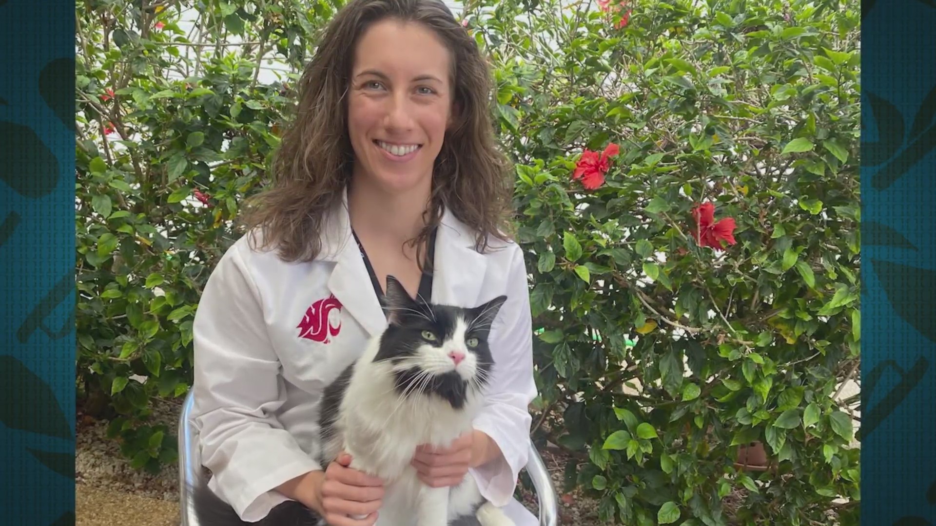 Adopting a Pet: A Guide to Finding the Perfect Furry Friend for Your ...