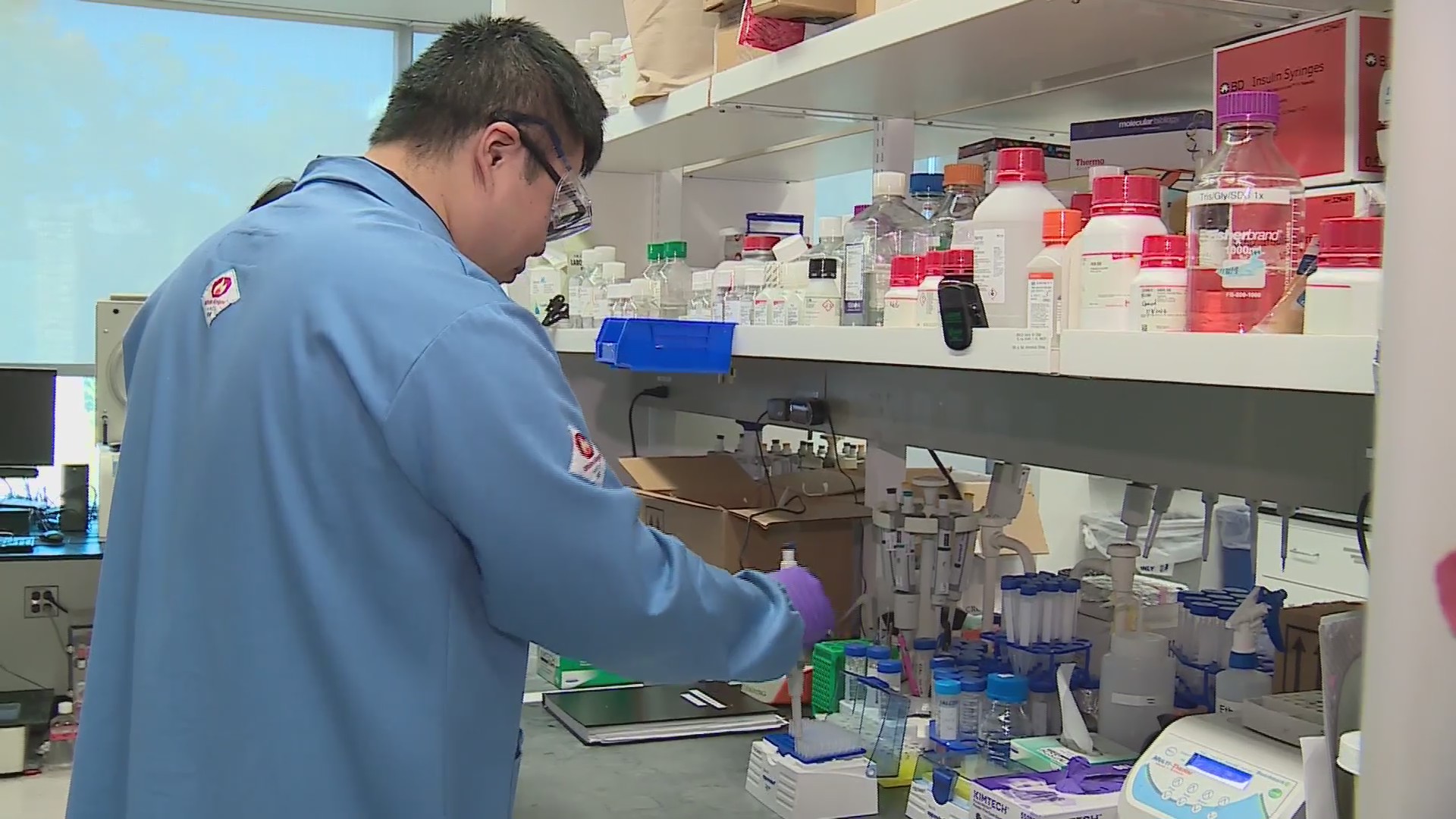 Tiny structure, big breakthrough: Drug targets blood cancer with ...