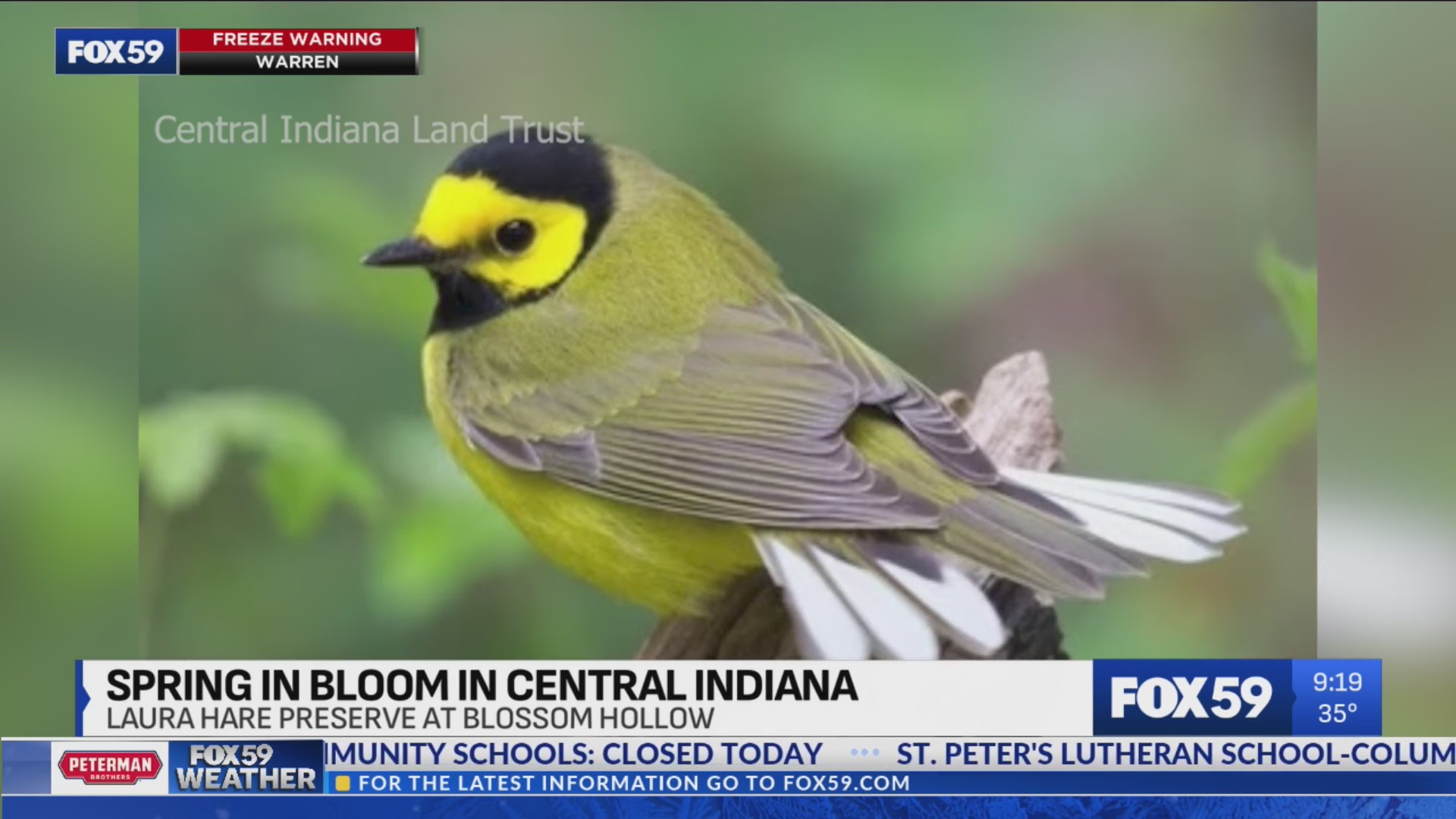 Spring in Bloom in Central Indiana – Fox 59