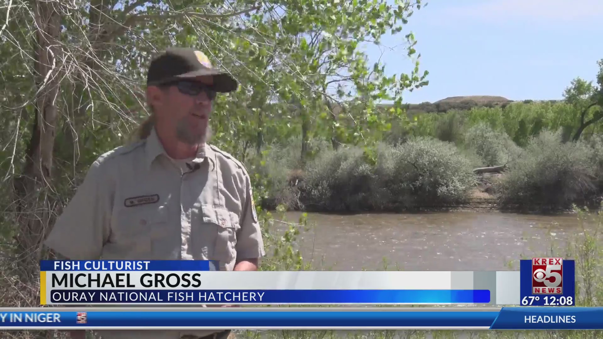 Razorback Sucker Fish making a return – WesternSlopeNow.com