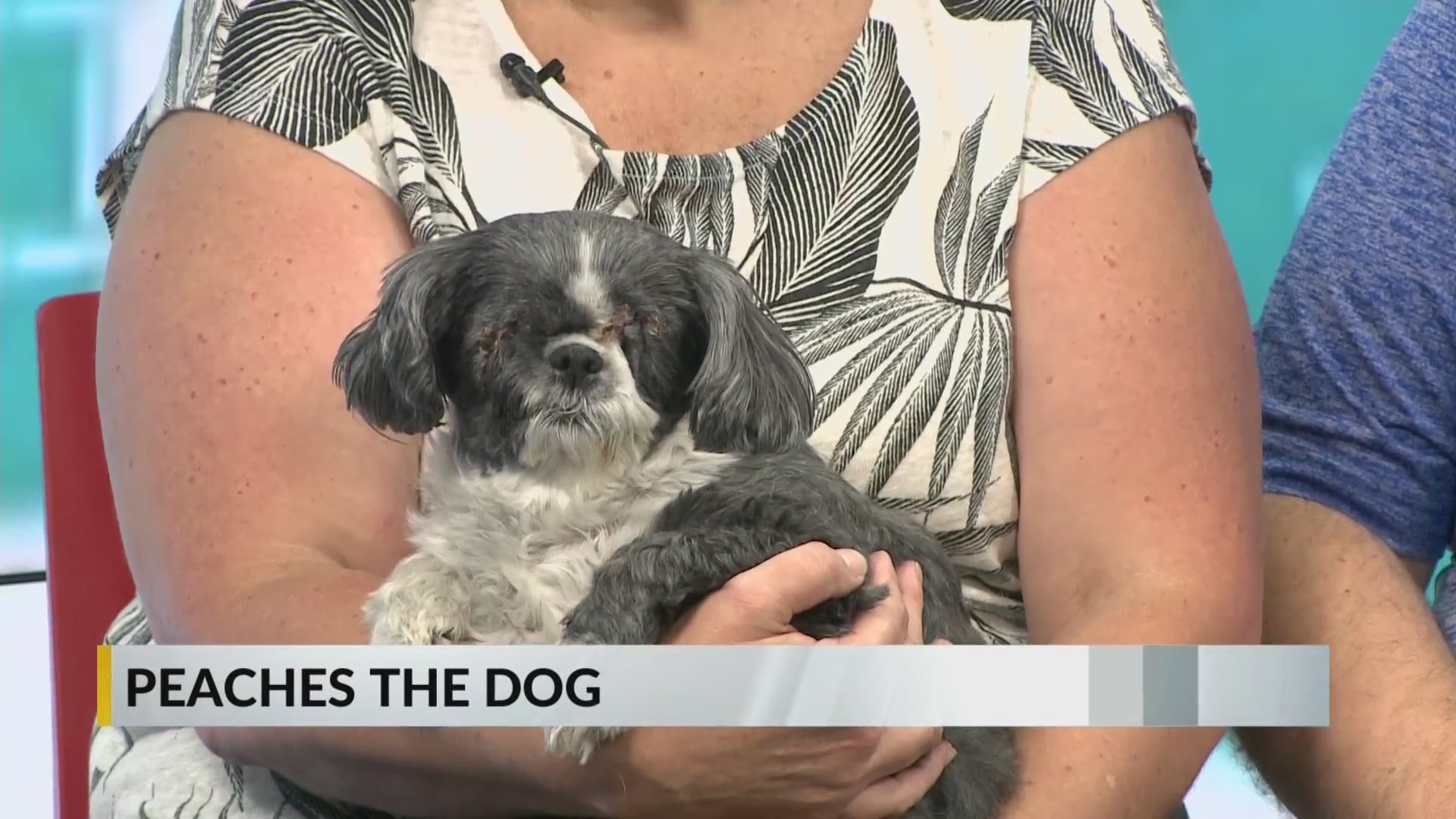 FURRY FRIDAY: Meet Peaches the dog – KX NEWS