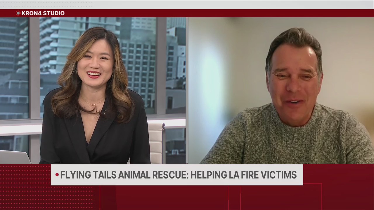Flying Tails Animal Rescue is helping LA fire victims – KRON4