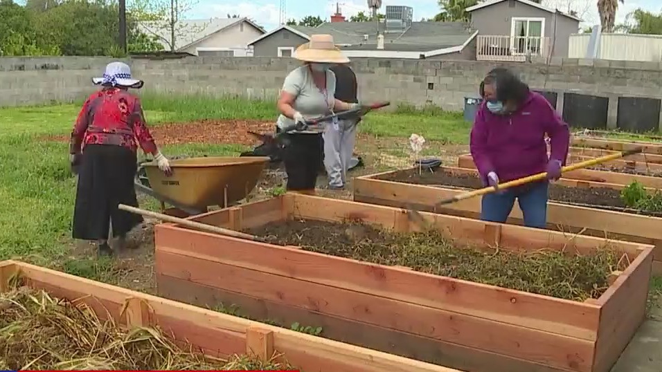 ‘Garden of hope’ brings together group of Sacramento Hmong elders – FOX40