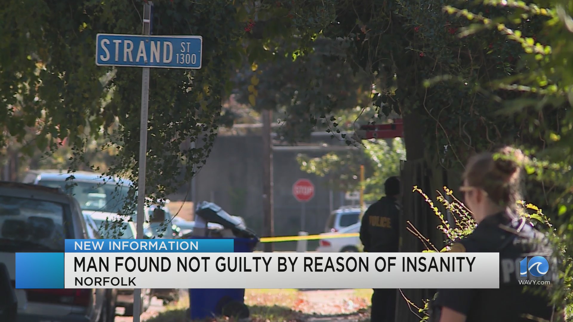 Man not guilty by reason of insanity in shooting – WAVY.com