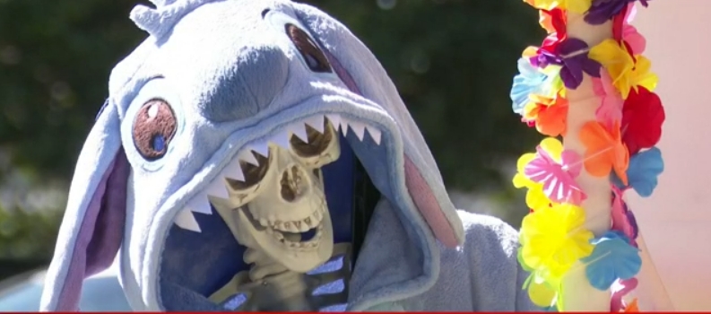 Destination ArkLaMiss: Skeletons on Tower! – KTVE – myarklamiss.com
