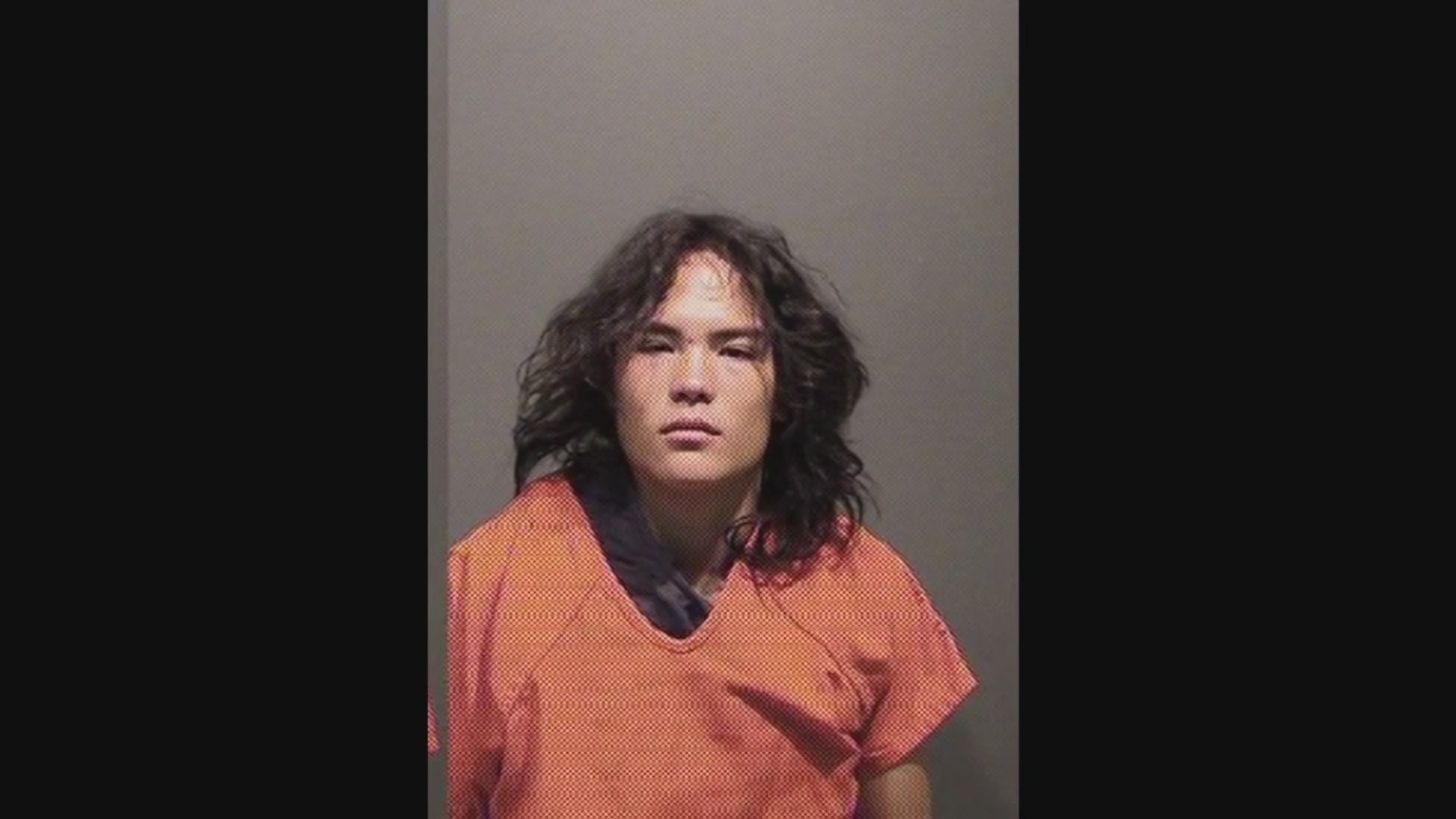Suspect in deadly rock throwing case pleads guilty – FOX31 Denver
