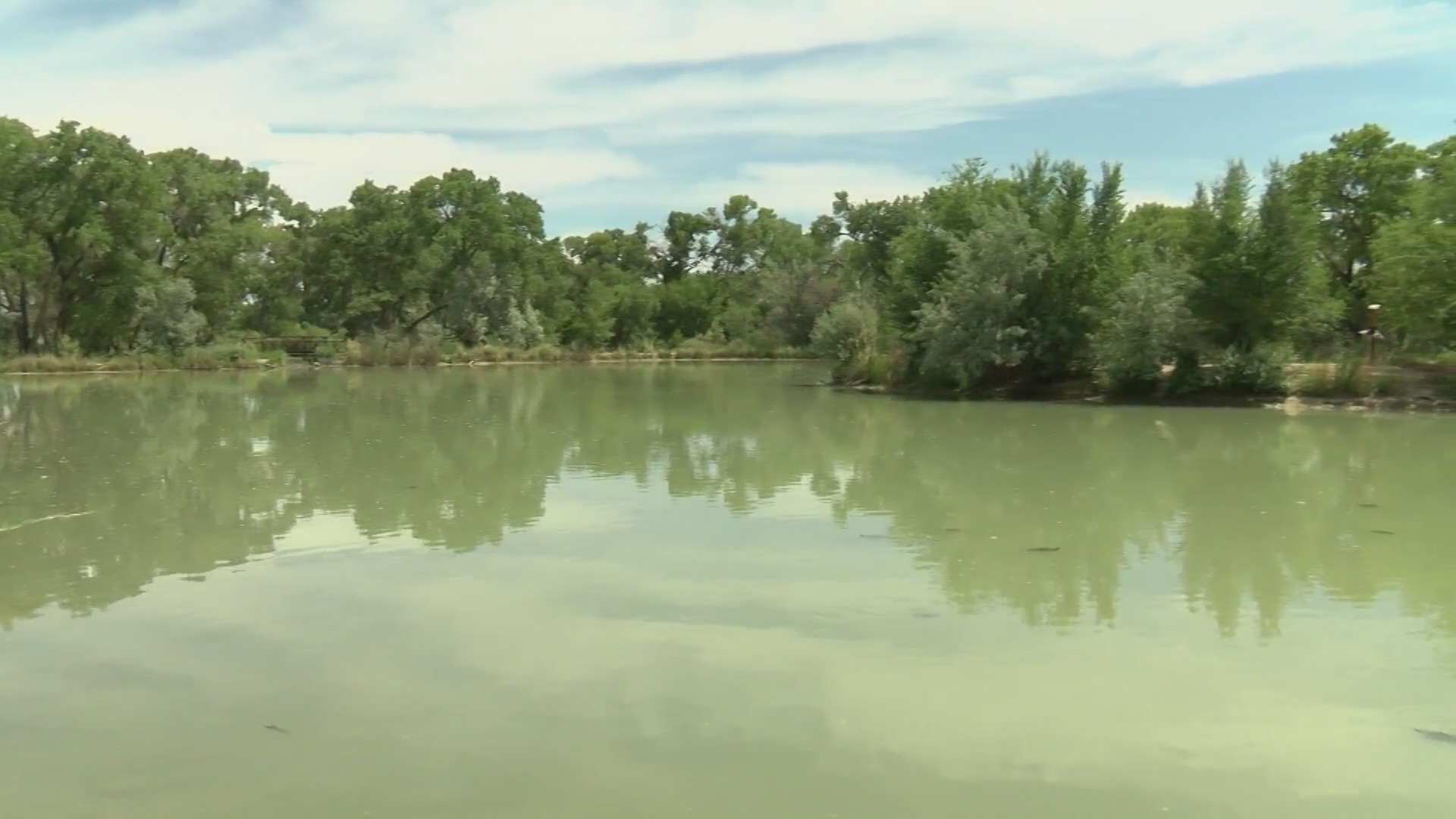 Illegal fishing and dead animals reported at nature preserve ponds near ...