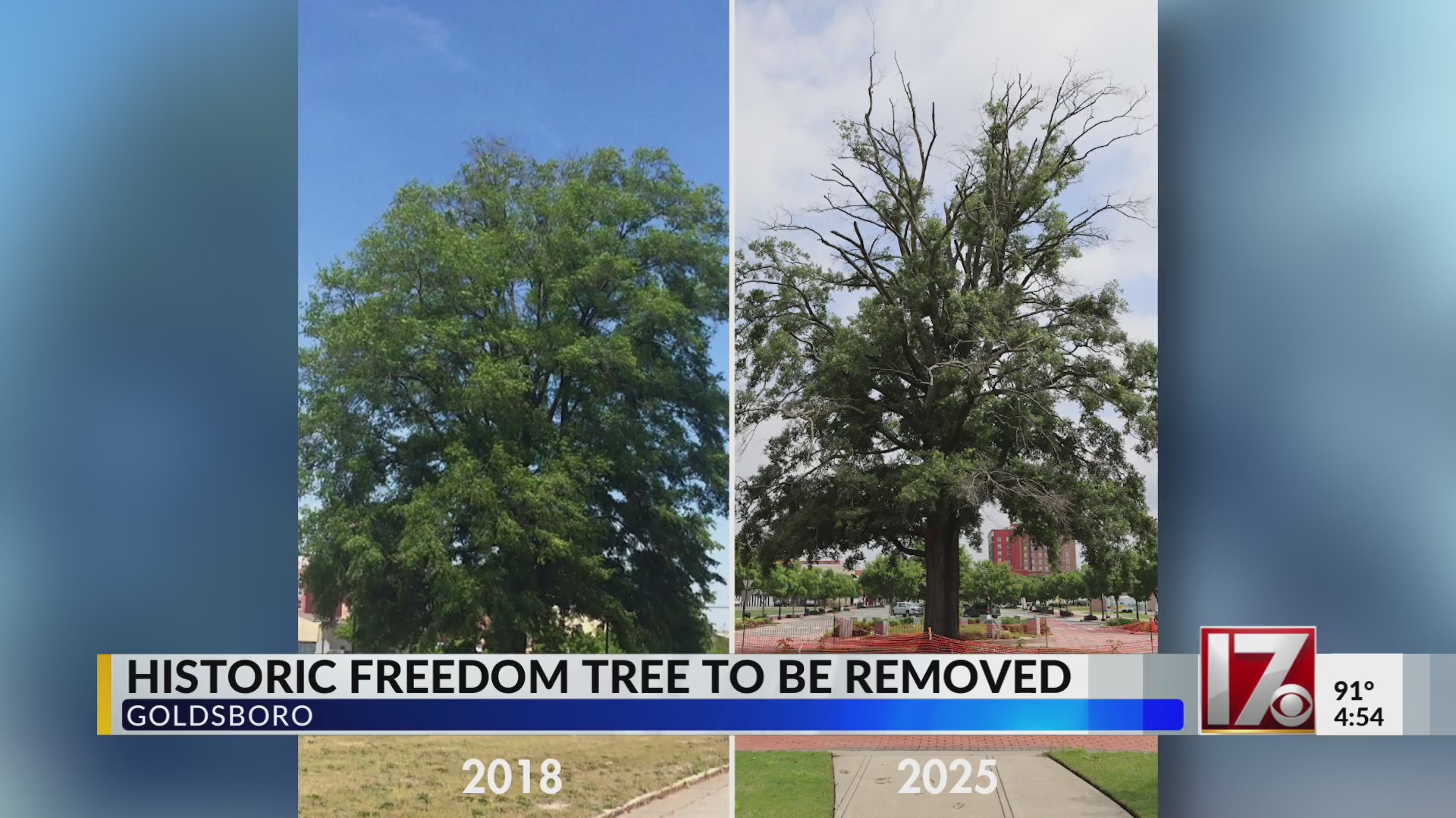 Historic Freedom Tree in Goldsboro to be removed – CBS17.com