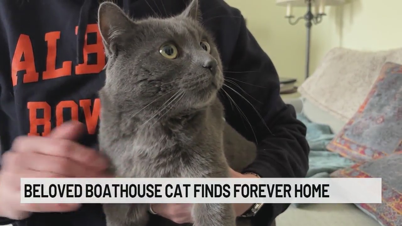 Boathouse cat finds forever home – NEWS10 ABC