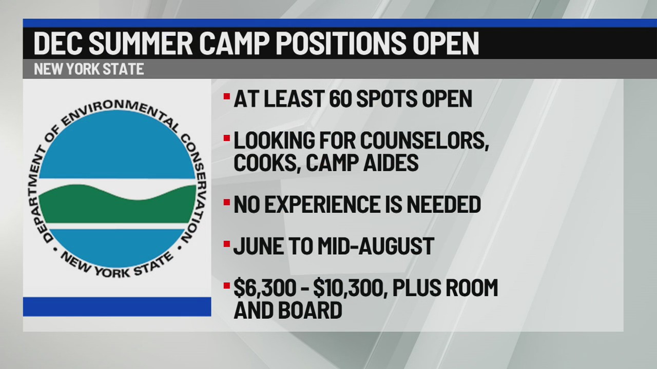 DEC summer camp positions open – NEWS10 ABC