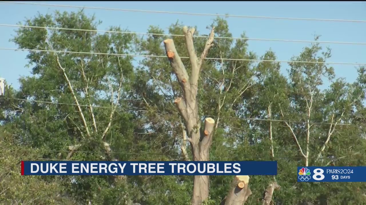 “It is just a disgusting eyesore,” neighbors react to trees being cut ...