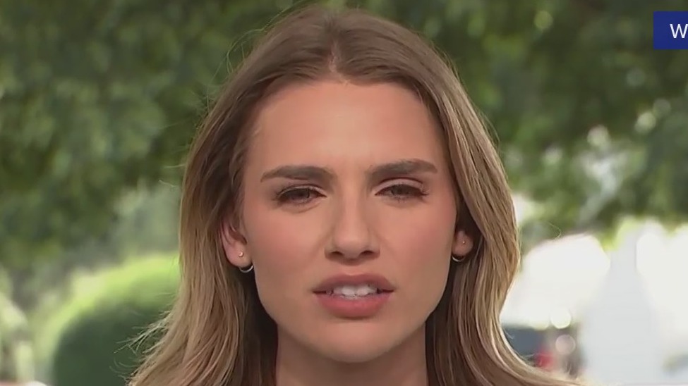 Texas taking lead on MAHA’s biggest movements with new junk food label ...