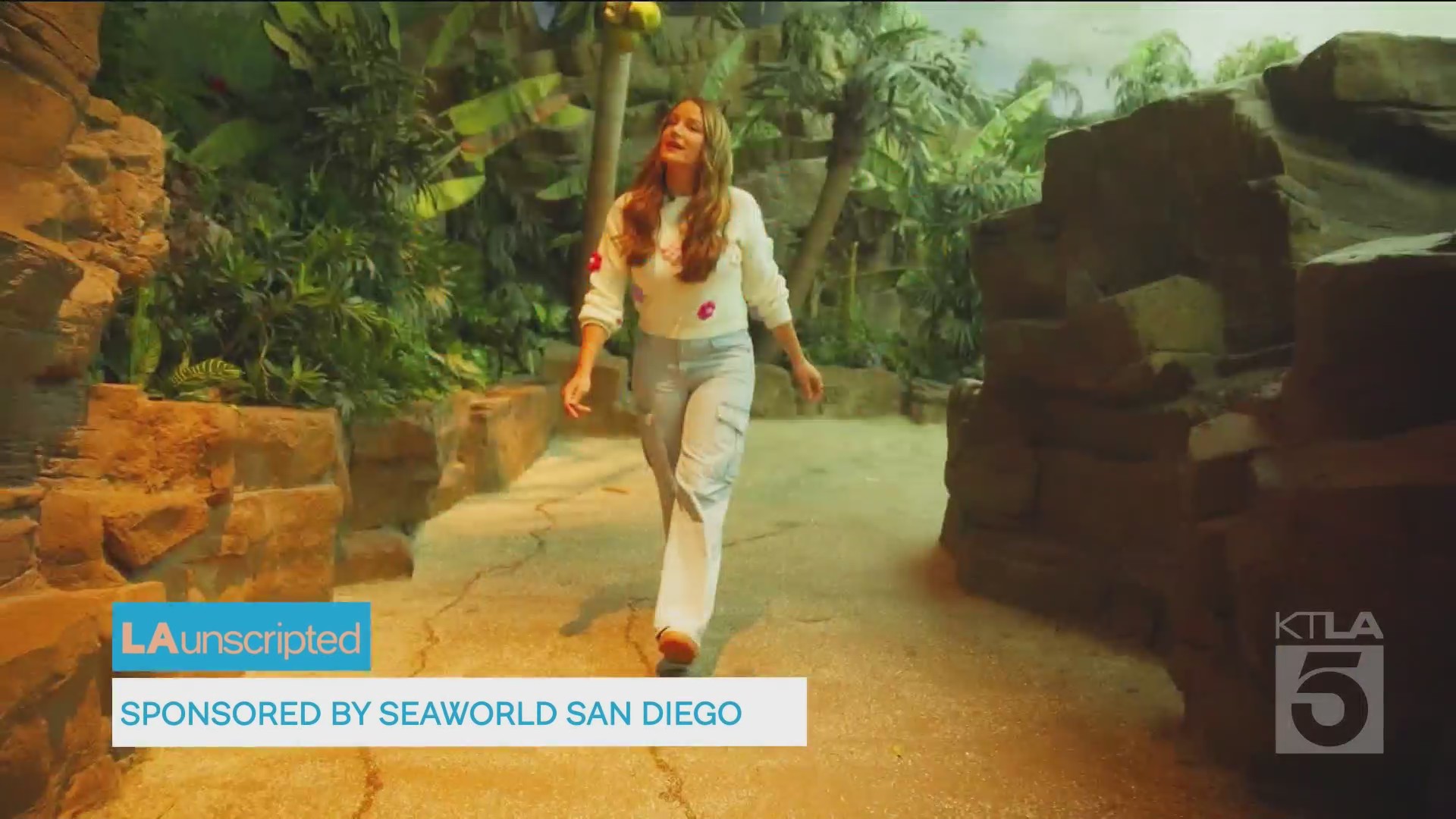 Rescue and Care: Sponsored by SeaWorld San Diego – KTLA