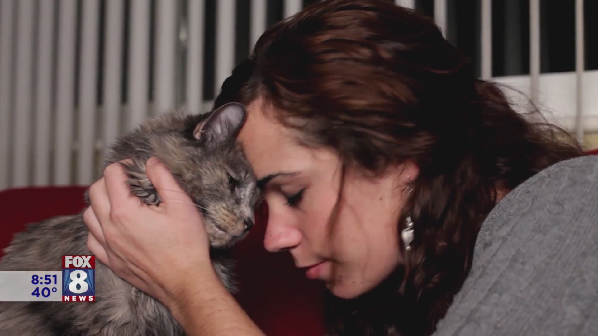 Why grieving a pet is so painful and tips for helping you get through ...
