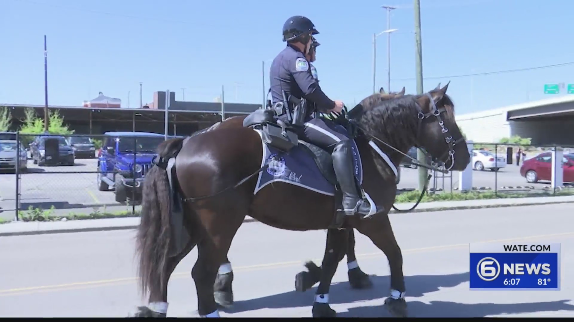 KPD Mounted Patrol Unit completes training period – WATE 6 On Your Side