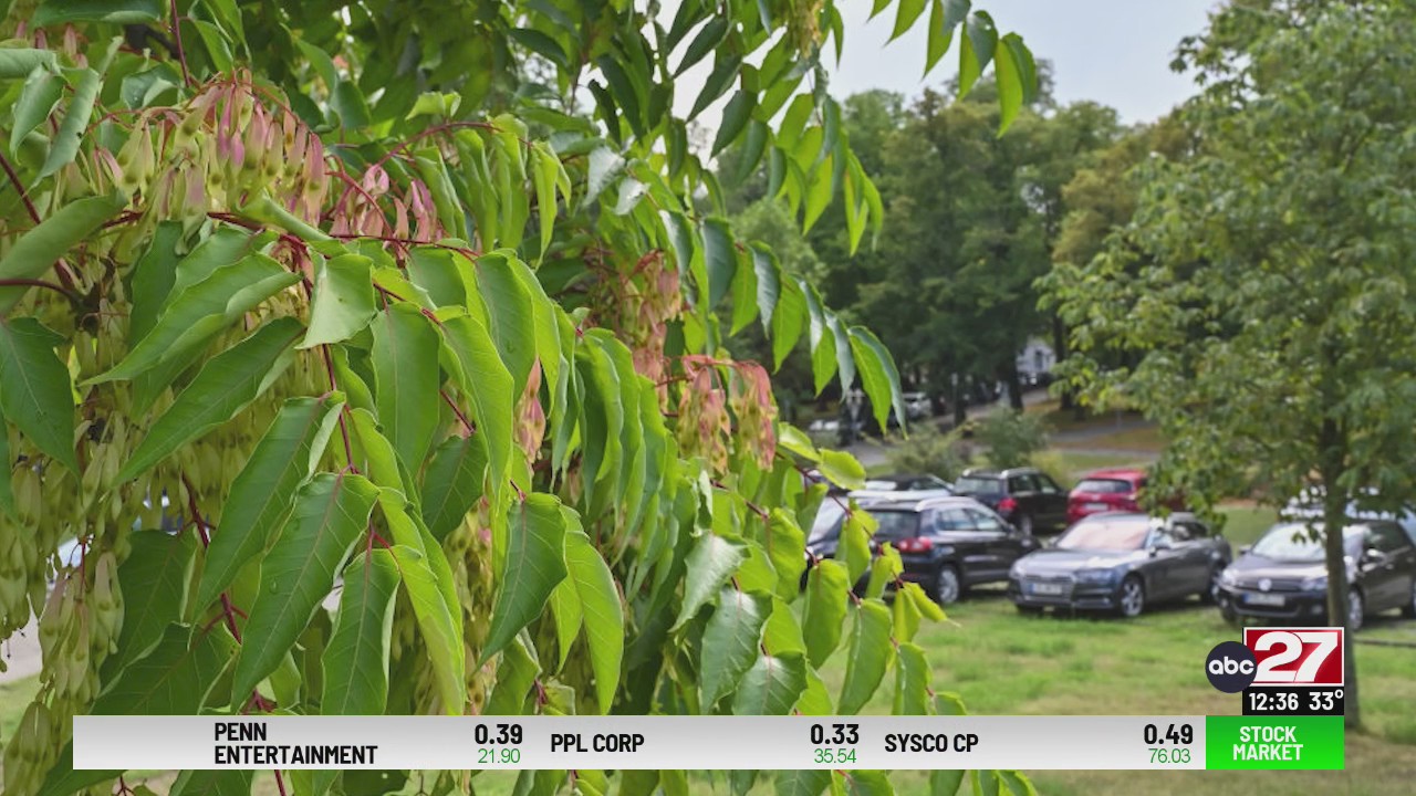 Fighting invasive plants in PA – PAhomepage.com