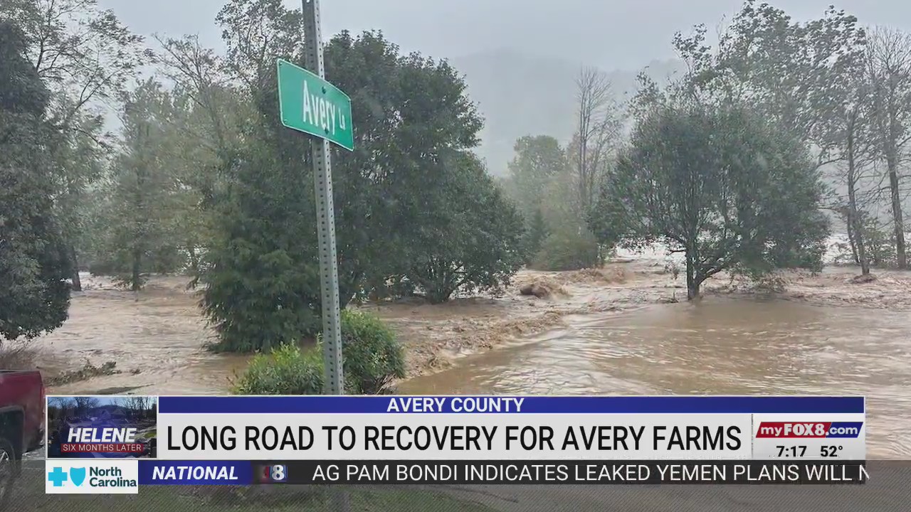 Avery County tree farm trying to rise from Helene wreckage – FOX8 WGHP