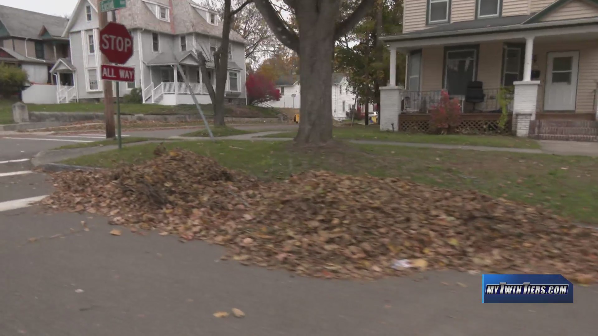 Need your leaves cleaned up? Here’s a list of cleanup times and what to ...
