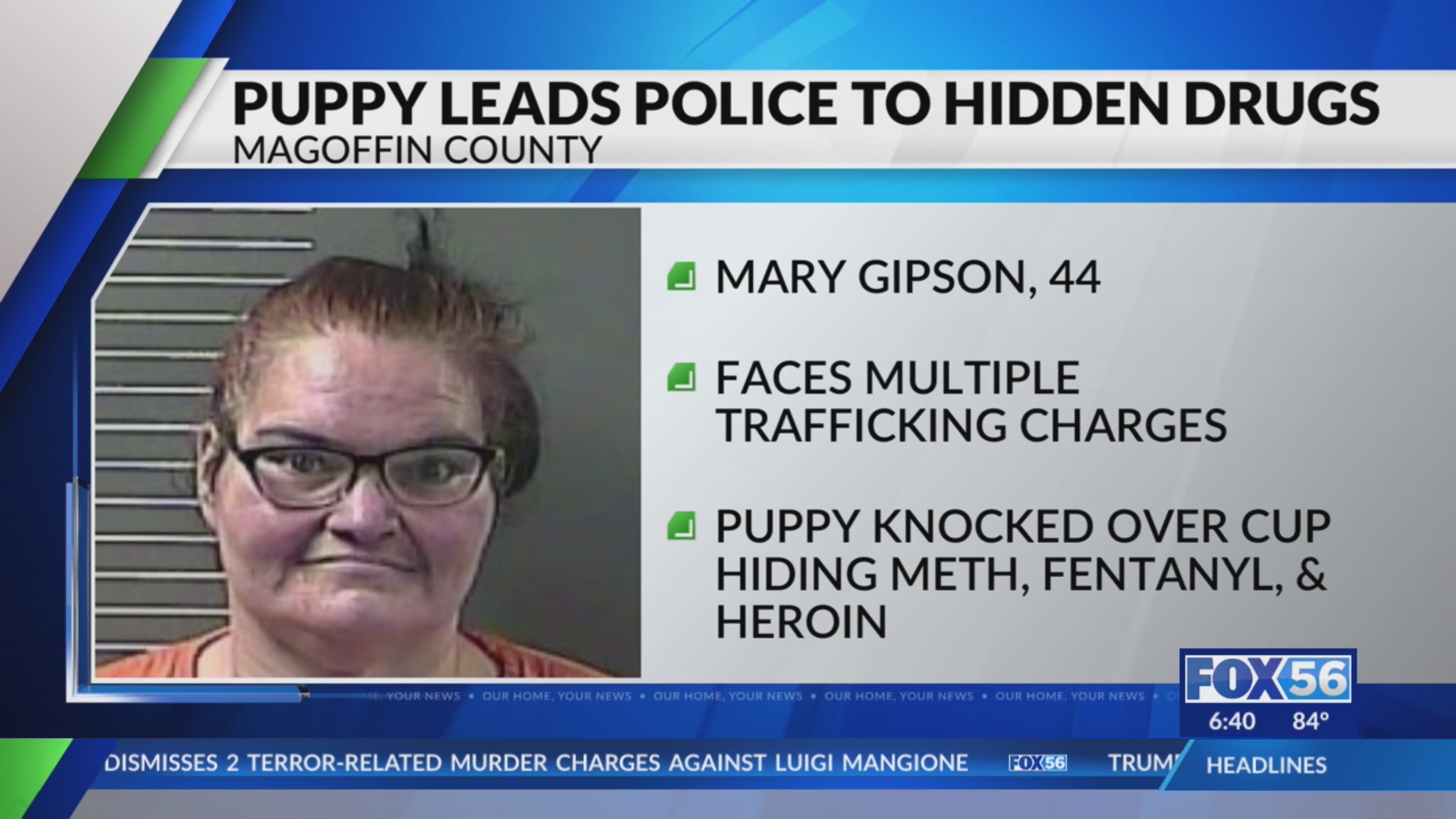 Puppy tips off deputies on Magoffin County woman’s alleged drug stash ...