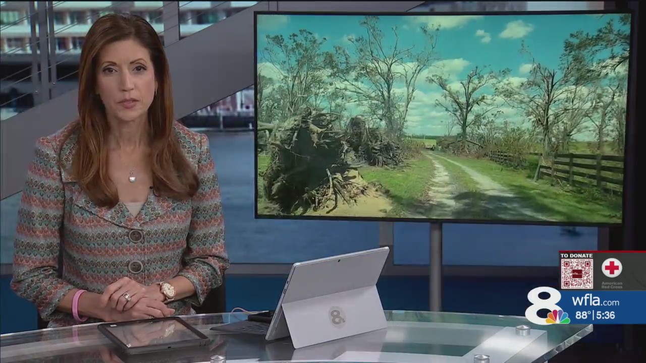 The fight to recover continues for Florida farmers after Hurricane ...