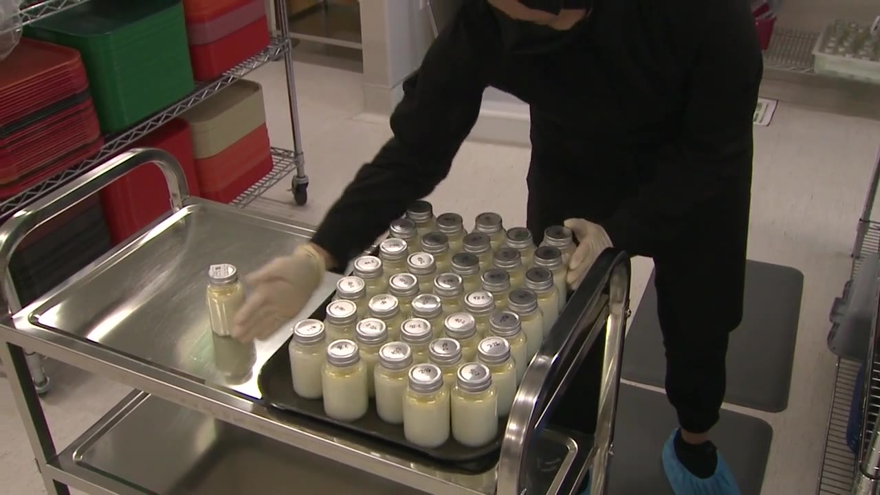 Mothers with excess milk are donating to babies in need – FOX31 Denver