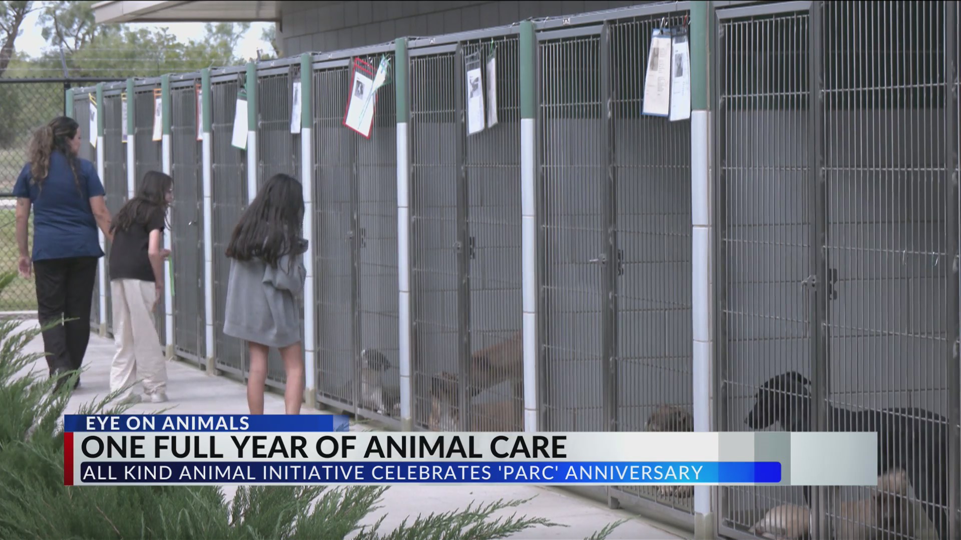 Abilene PARC celebrates first year: 3,000 neuters, no-kill status ...