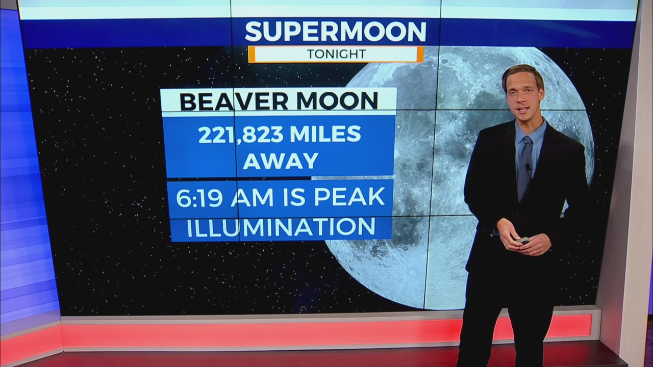 Our warmest day yet coming tomorrow, with a bright moon tonight ...