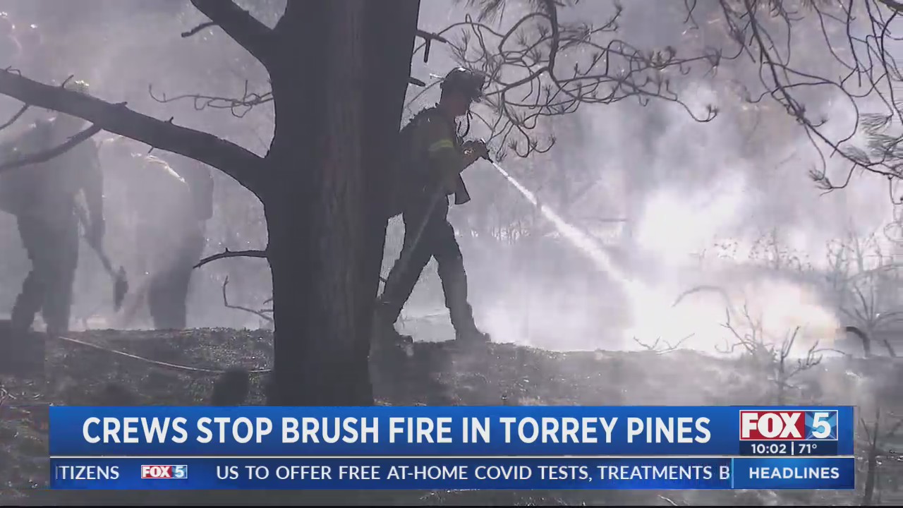 Crews stop brush fire in Torrey Pines – FOX 5 San Diego & KUSI News