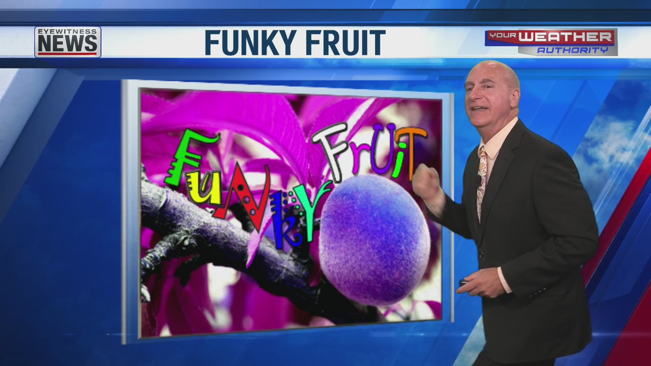 FuNkY FrUiT Ginger Root Duck – Eyewitness News (WEHT/WTVW)