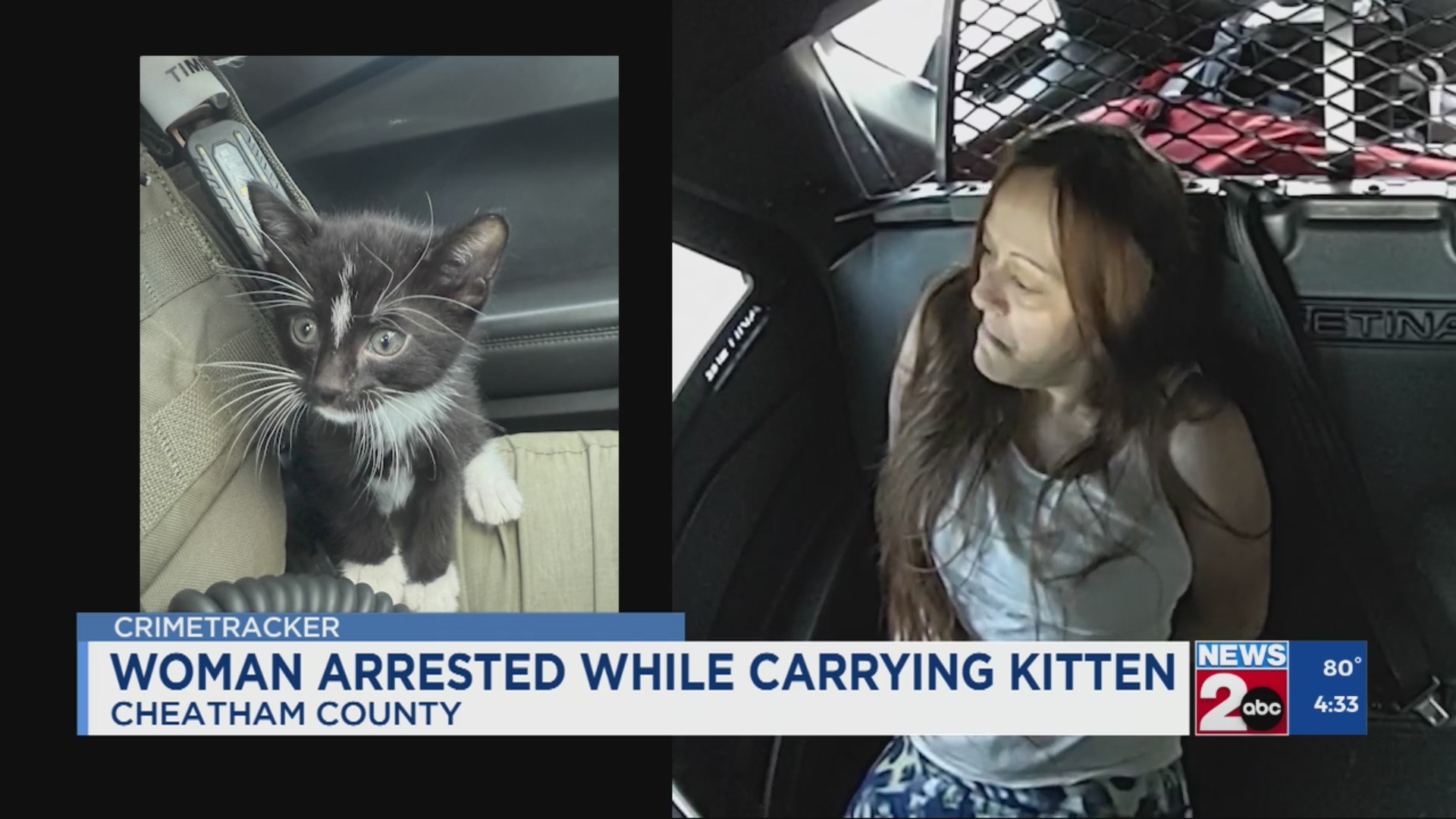 Woman arrested while carrying kitten in Cheatham County – WKRN News 2