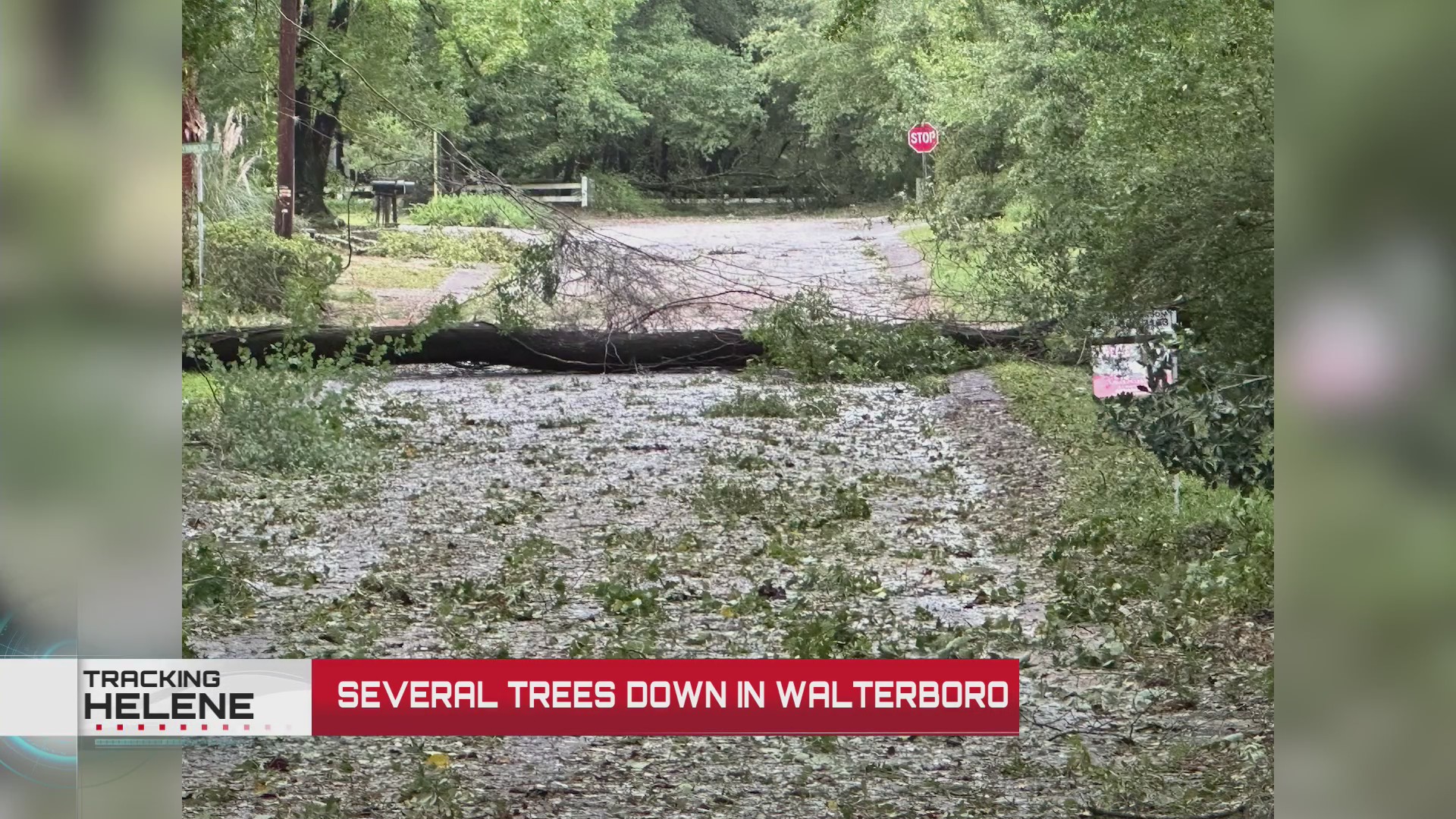 Several trees down in Walterboro after Helene moves through – WCBD News 2