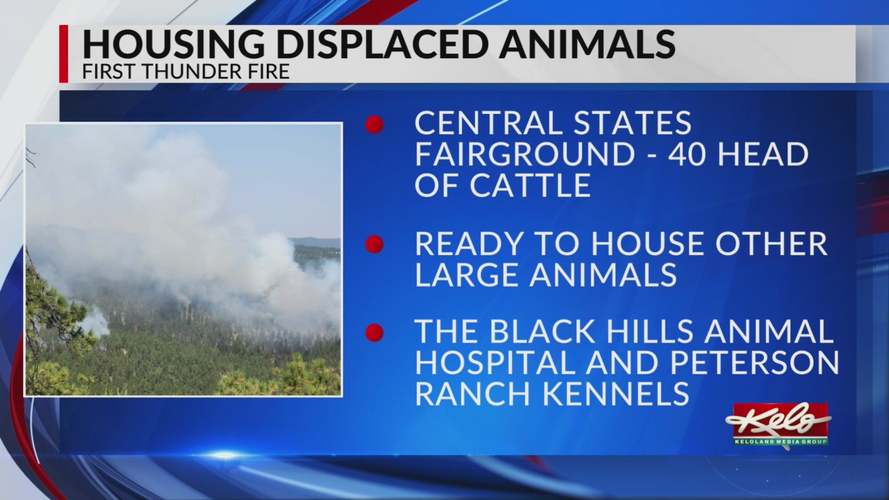 Helping displaced animals during First Thunder Fire – KELOLAND.com