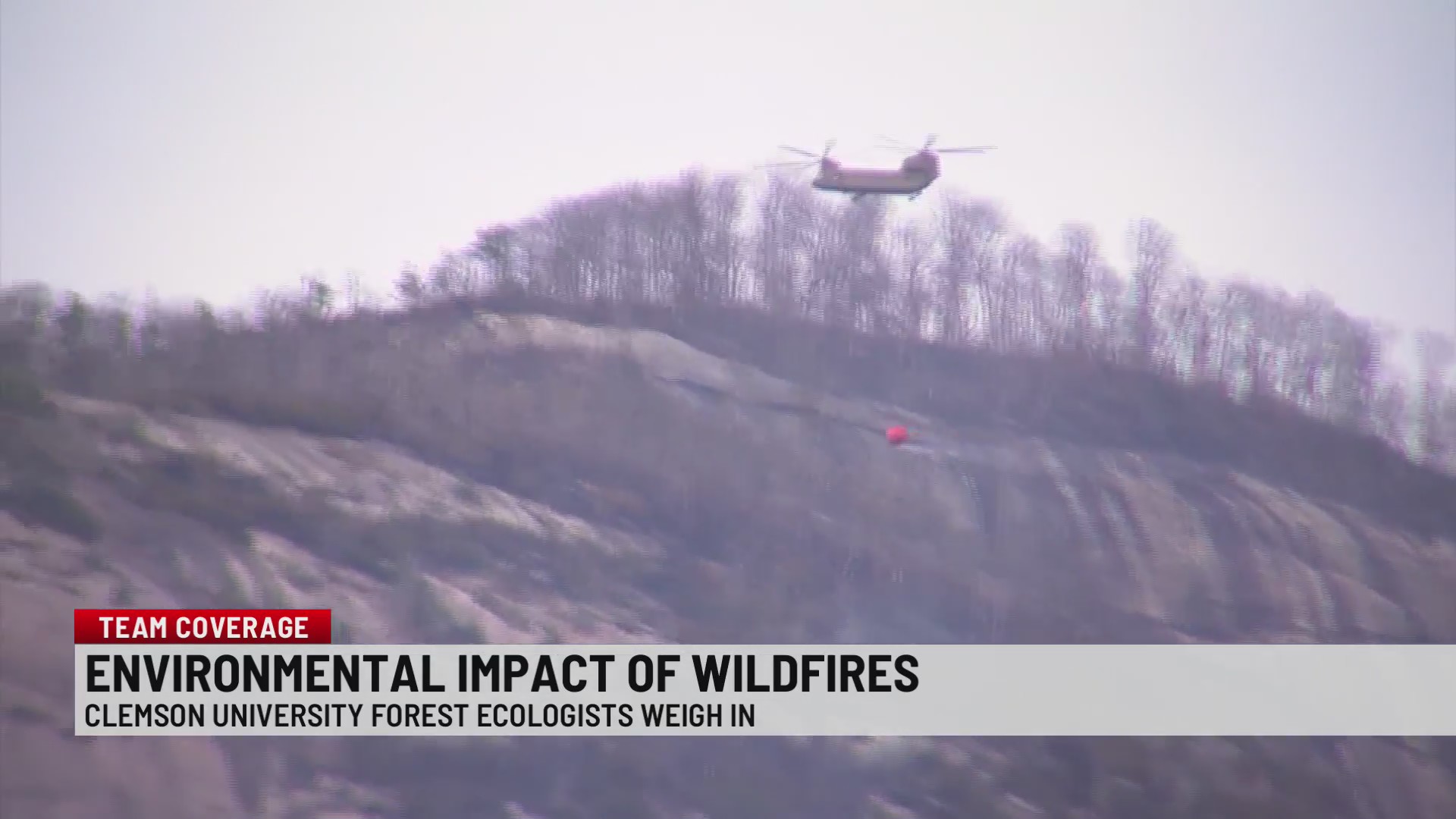 Researchers weigh in on cause and effect of wildfires – WSPA 7NEWS